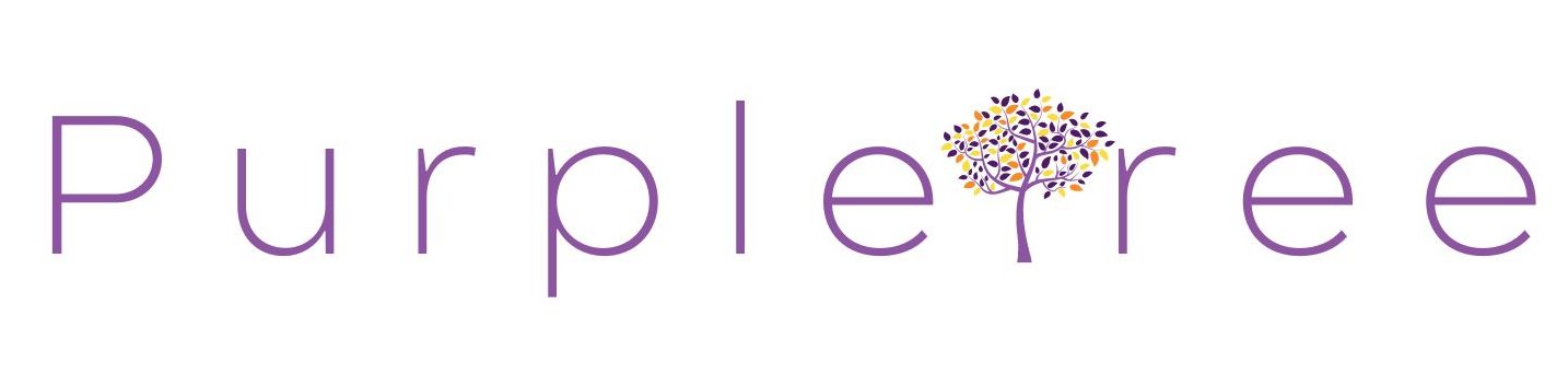 Purple Tree Ventures – Invest in the Future of Africa